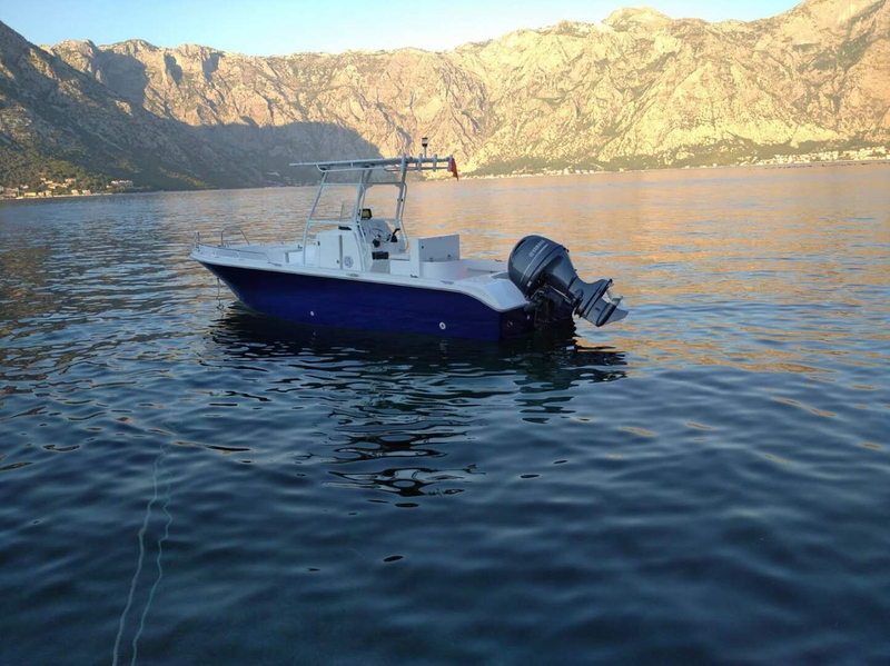 Deep Sea Advanced Trolling Motor Fishing Boat from China manufacturer ...